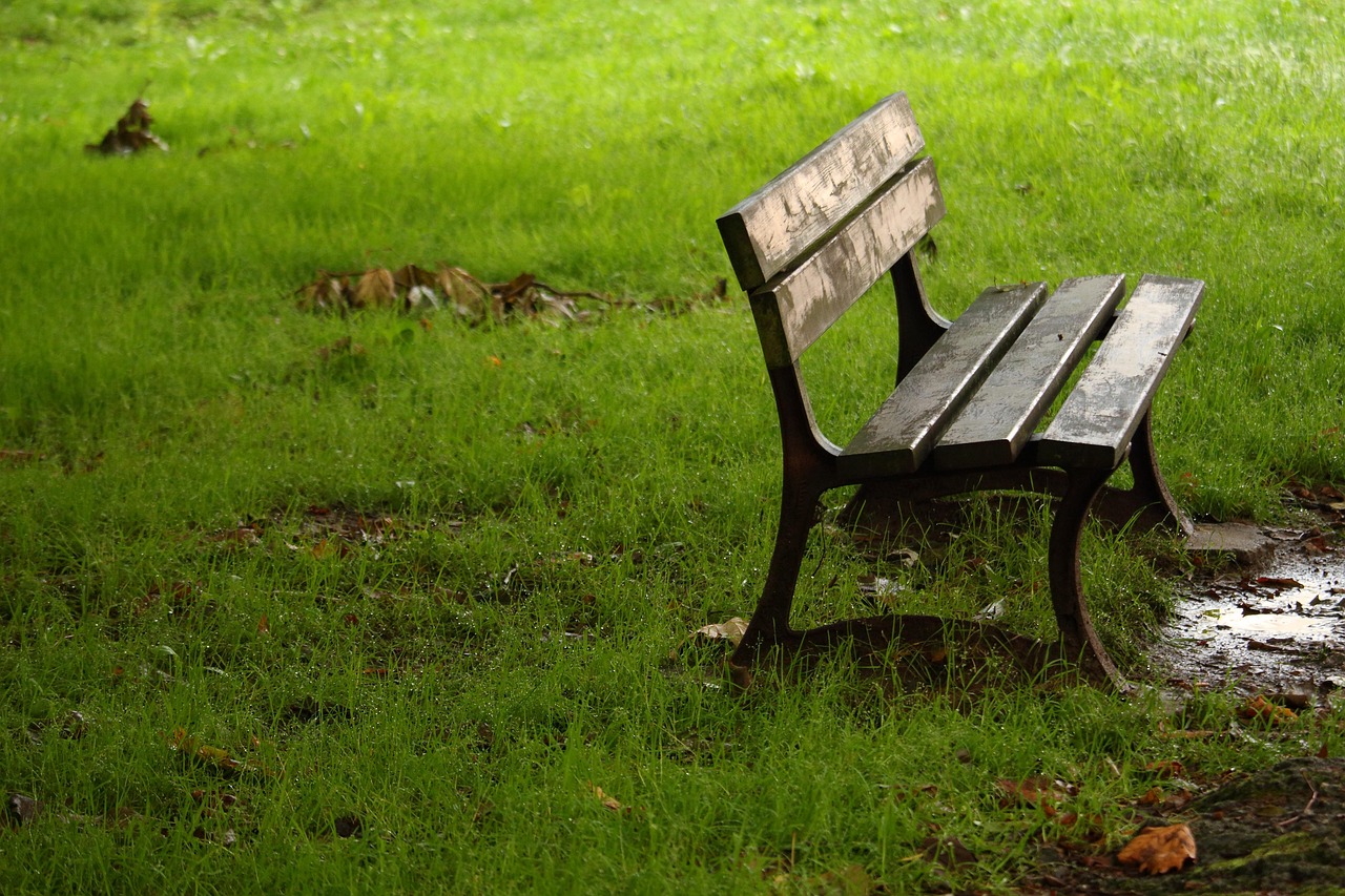 How to Tell if Septic Tank is Full: 5 Warning Signs - Professional ...